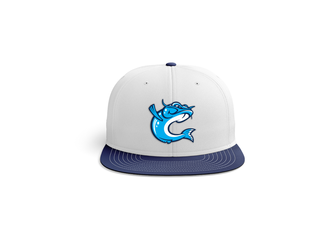 Baseball — Pauer Sports